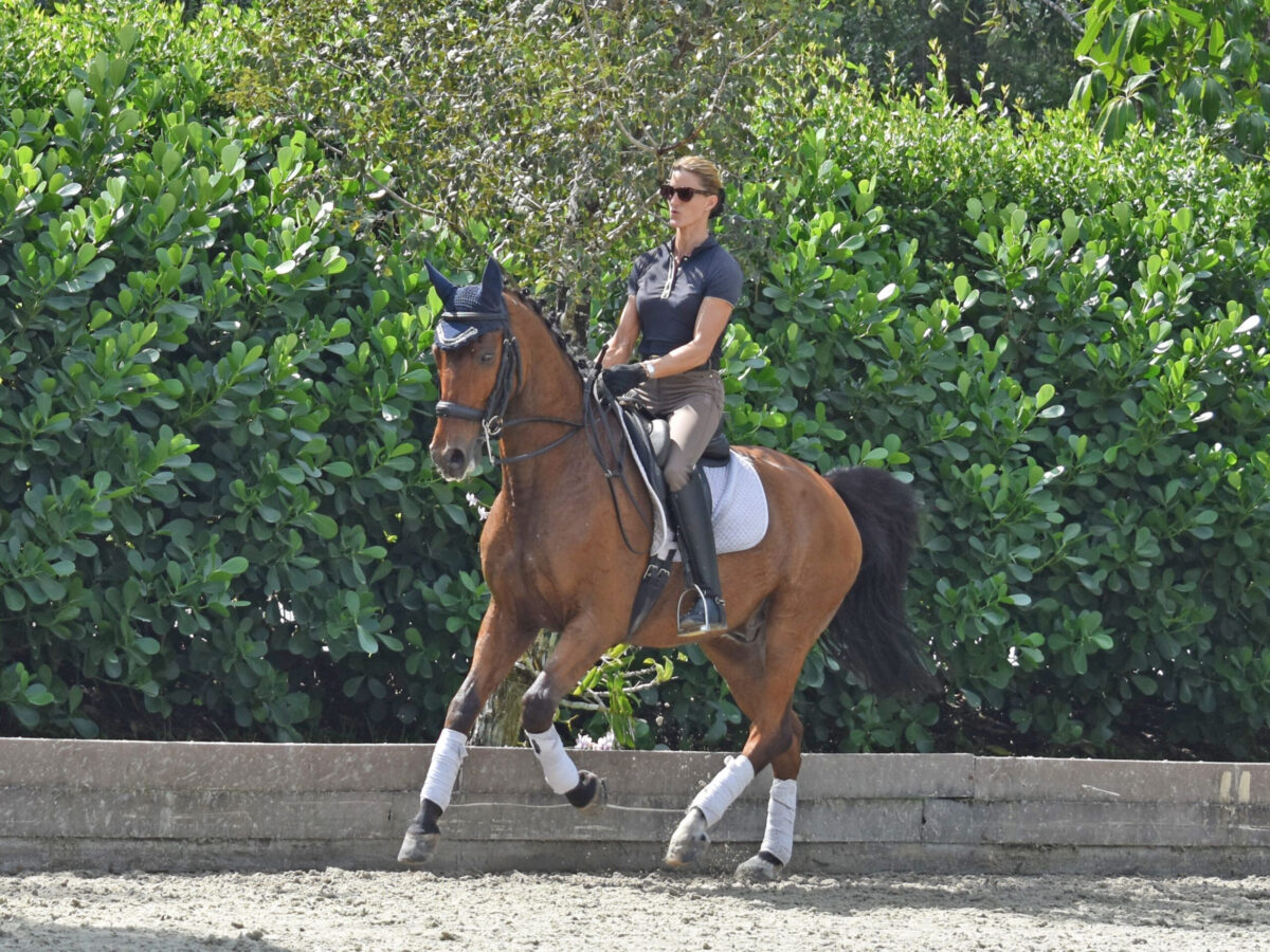A Chance to Ride With Carl Hester - HorsesDaily