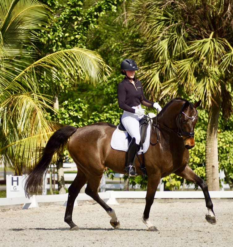 Jackson - Quality and Super Sweet - HorsesDaily