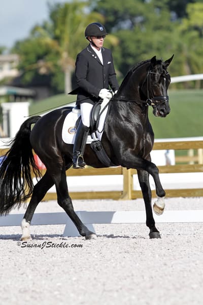 Jason Canton Highest Score Once More at Global Dressage Festival ...