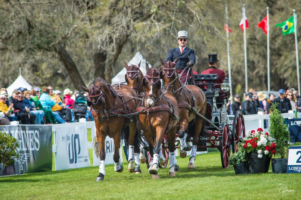 Recap of the 2020 Live Oak International Combined Driving Event ...