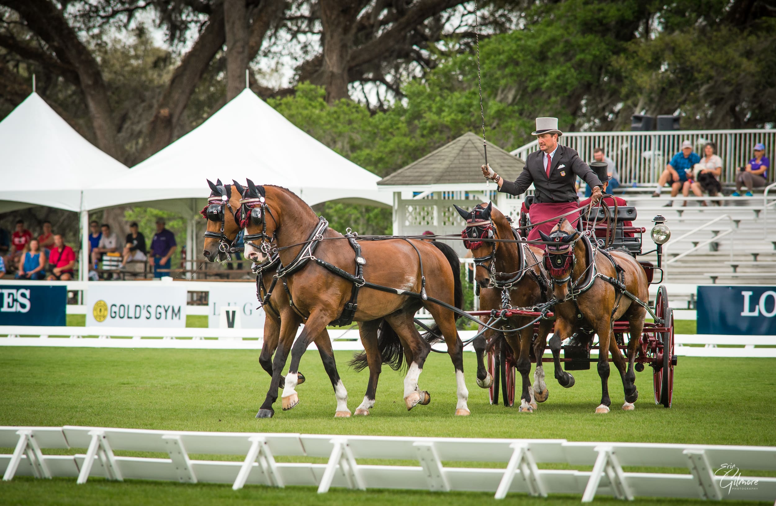 Chester Weber Wins The Four-In-Hand Dressage Event at Live Oak ...