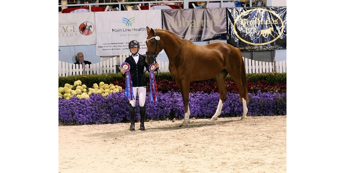 Dressage at Devon 2021 Breed Show Opens - HorsesDaily