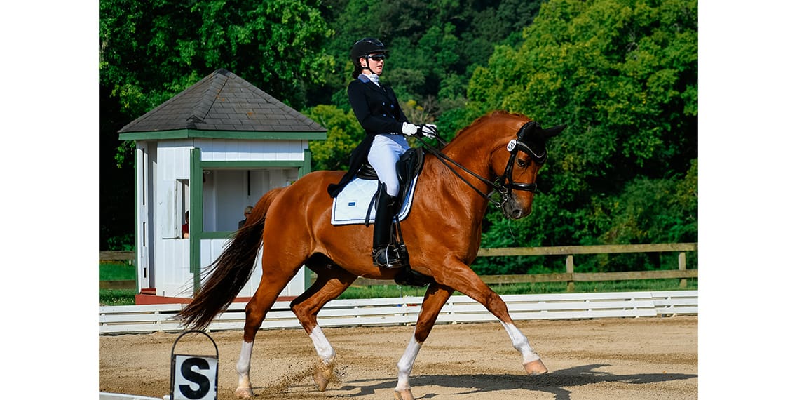 Young Graduate Program Participants and USDF Earn Grants from the ...