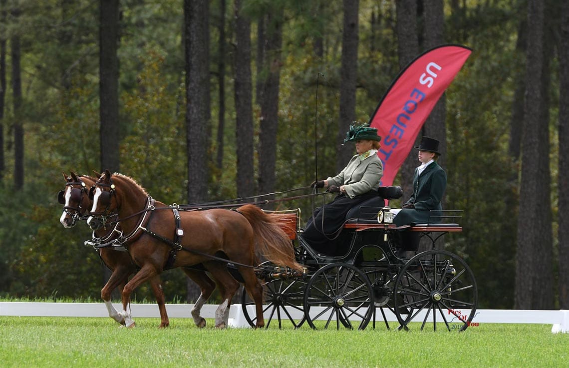 Katie Whaley Expands Resume at theUSEF Advanced Pair Pony Combined ...