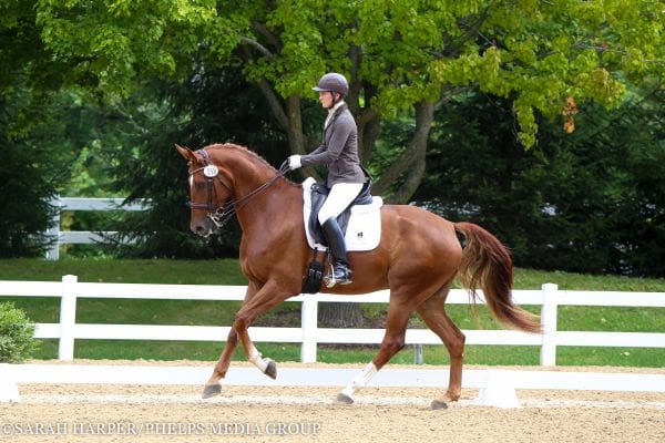 Eight Champions Crowned at USDF Region 2 Dressage Championships ...