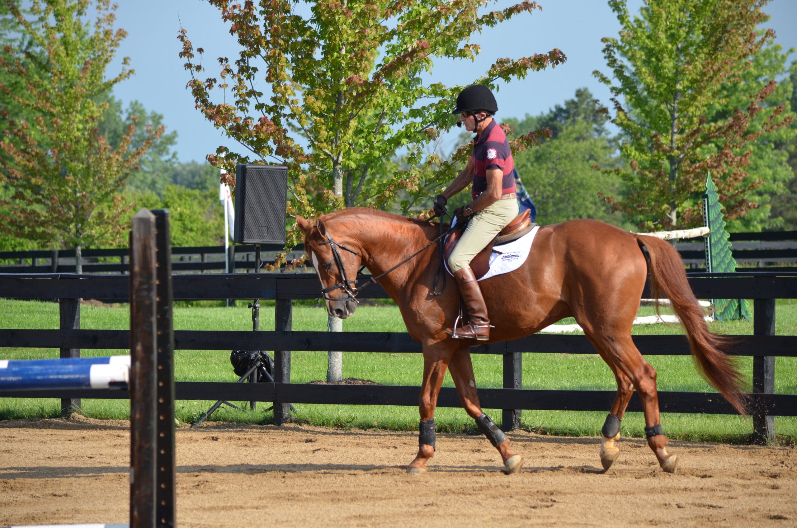 The George H. Morris Chicago Riding Clinic Returns to Annali-Brookwood ...