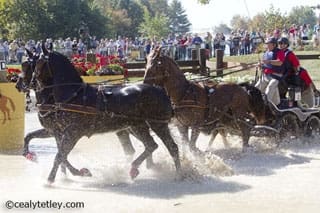 Canadian Equestrian Team - Driving Competes in Marathon Phase at World ...