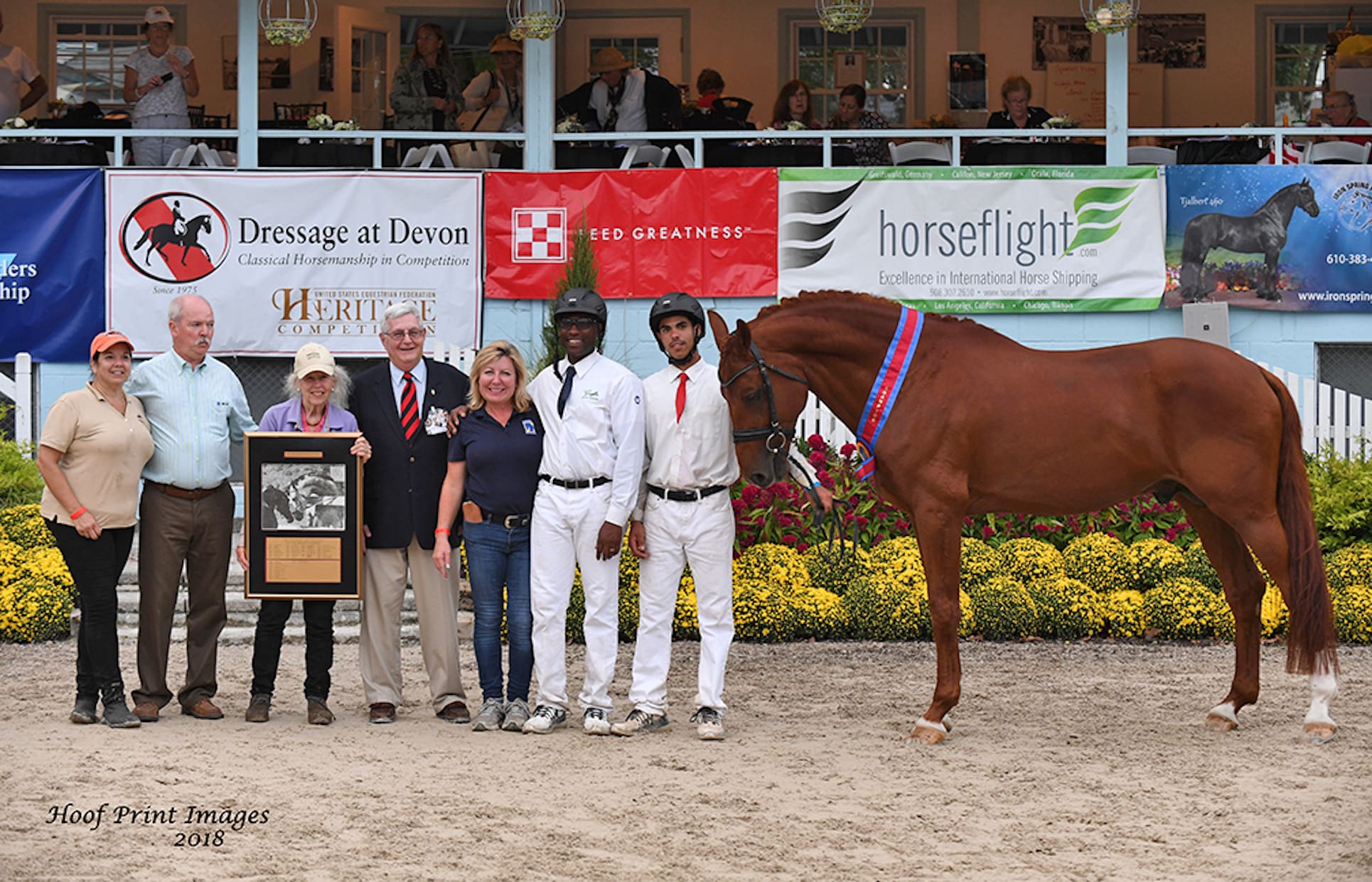 Future Dressage Stars Grace the Ring at Dressage at Devon Breed ...