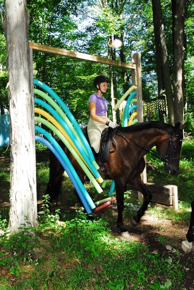 The Movie Business is Just a Part of the Dressage and Western World of ...