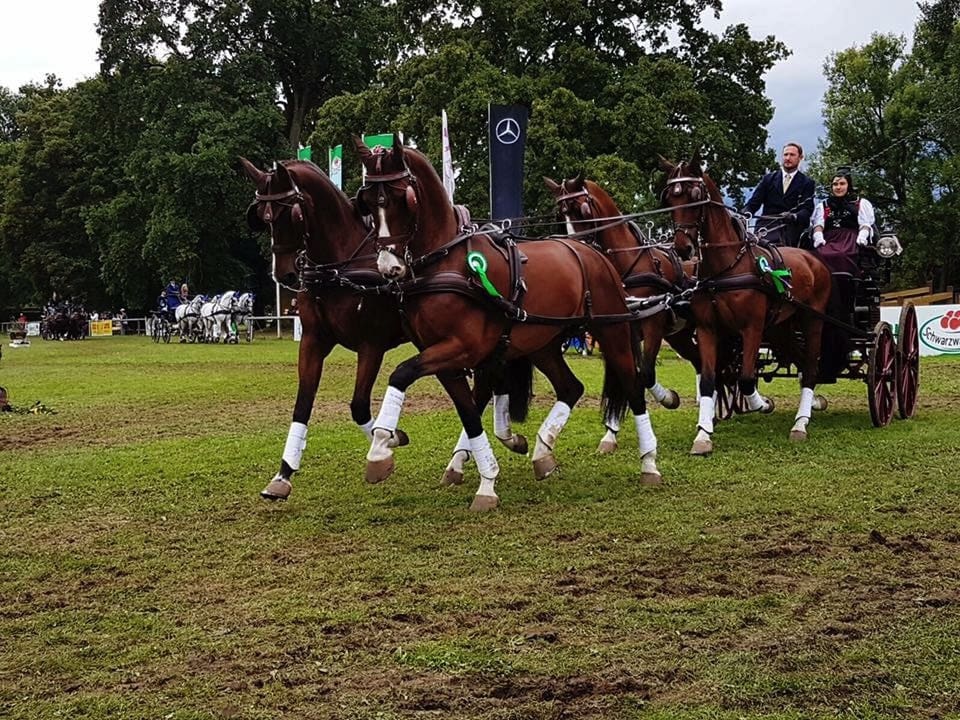 Chester Weber Wins Four-In-Hand at Germany’s Donaueschingen CHI3 ...