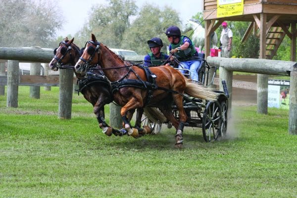 Driving Derby Hoedown to Support Pony Team USA - HorsesDaily