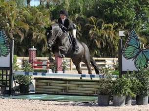 Elizabeth Benson and San Remo VDL Top 42 Entries in Show Jumping Talent ...