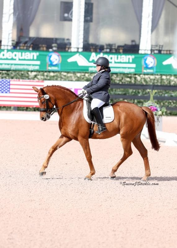 A Week of Para Dressage Finishes With Fantastic Freestyles - HorsesDaily
