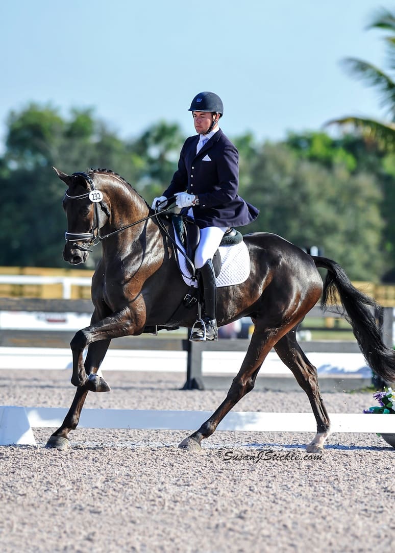 Endel Ots Prepares to Compete Top Ranked Horses at Markel/USEF National ...