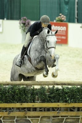 Thoroughbreds Return to Future Hunter Divisions at the 2013 Capital ...