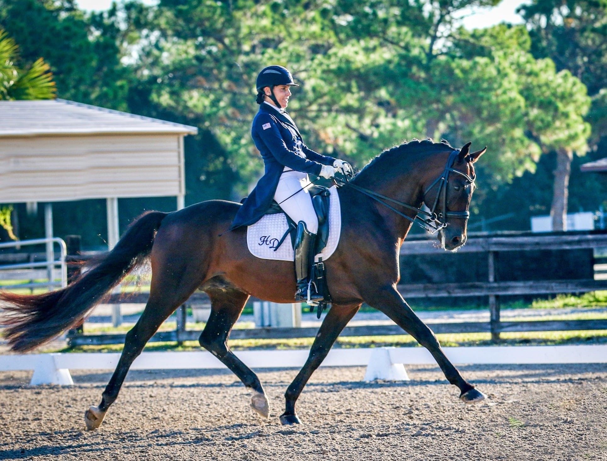 Living the High Life: Heidi Degele Trains Horses to Win - HorsesDaily