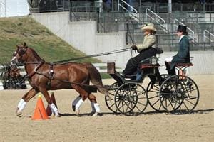 Katie Whaley Drives to USEF Pair Pony Driving National Championship ...