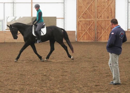 On The Scene at the Markel/USEF Young Horse Dressage Training Session ...