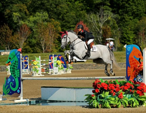 Laura Chapot Wins the $50,000 HITS Grand Prix - HorsesDaily