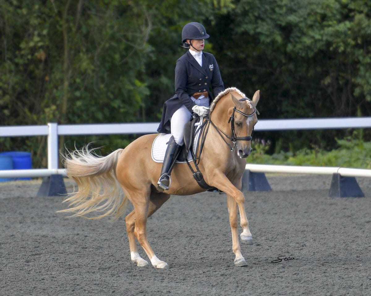 Megan Chastain and Laura Ashley Killian Awarded Grants for the USDF ...