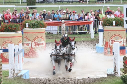 Double Gold for Hungary in Sunny Topoľčianky - HorsesDaily