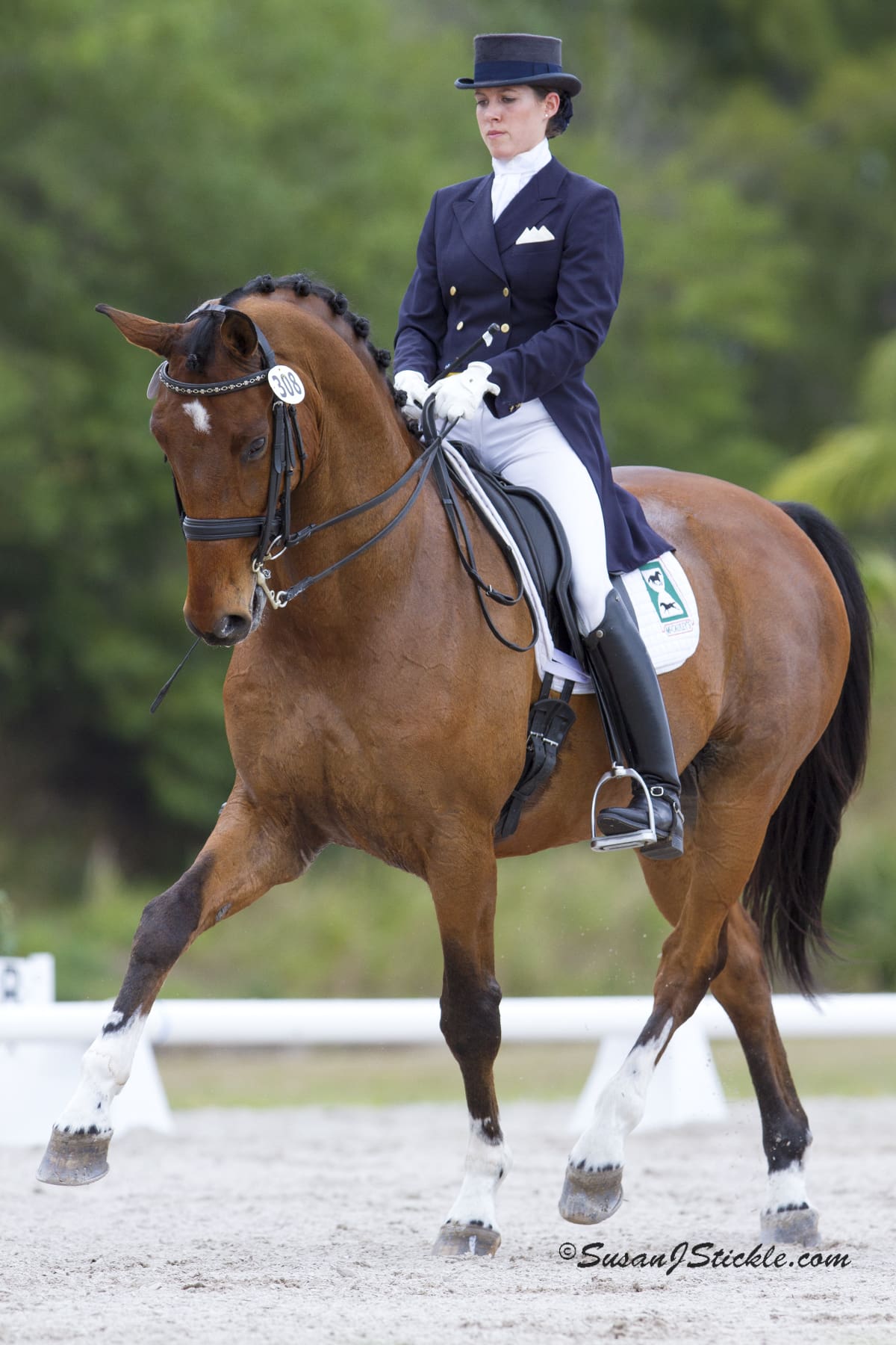Olivia Lagoy-Weltz Proudly Introduces New Venture - LivDressage Makes ...
