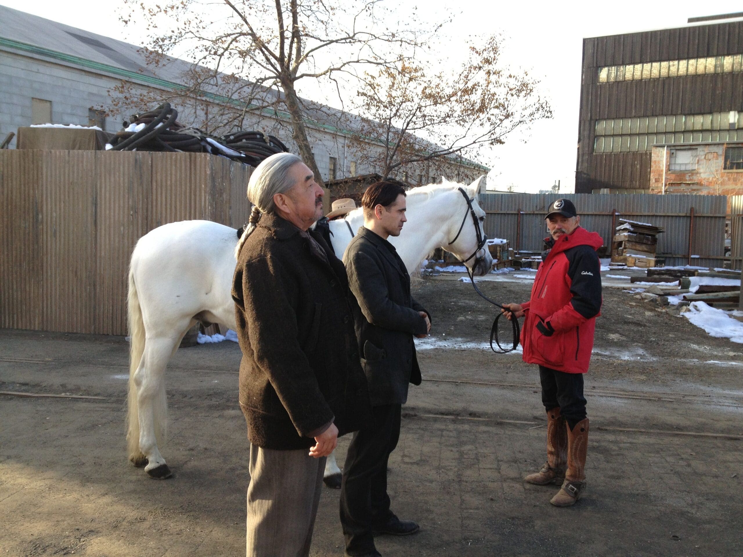 The Movie Business is Just a Part of the Dressage and Western World of ...