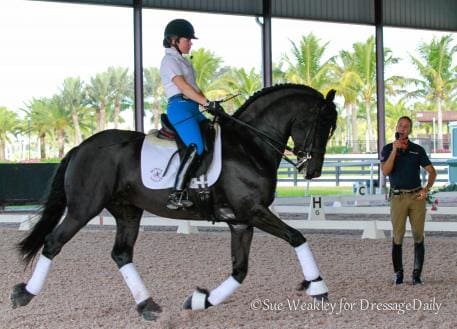 Robert Dover to Serve as U.S. Dressage Technical Advisor - HorsesDaily