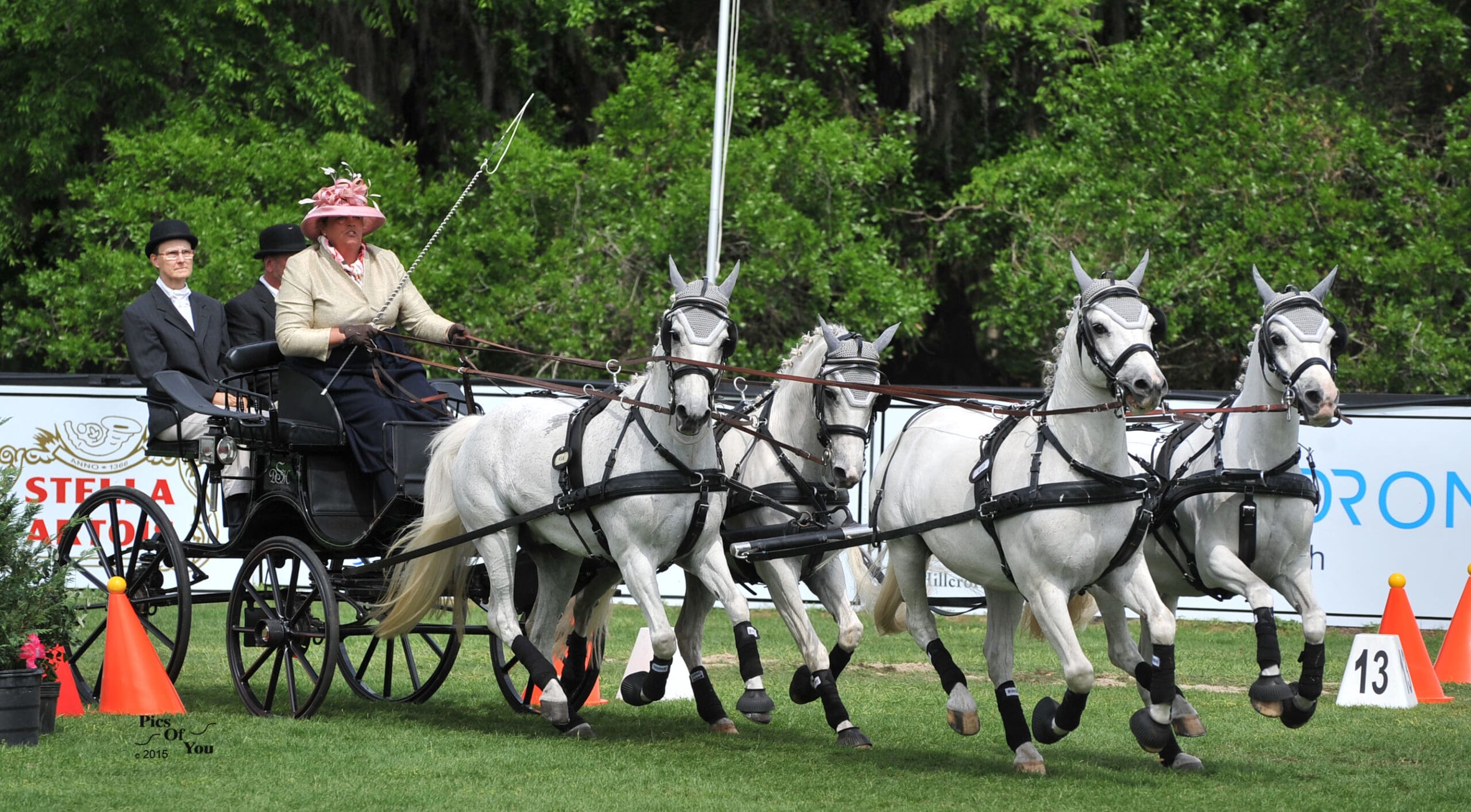 2015 USEF National Horse and Pony Driving Champions Named at Live Oak ...