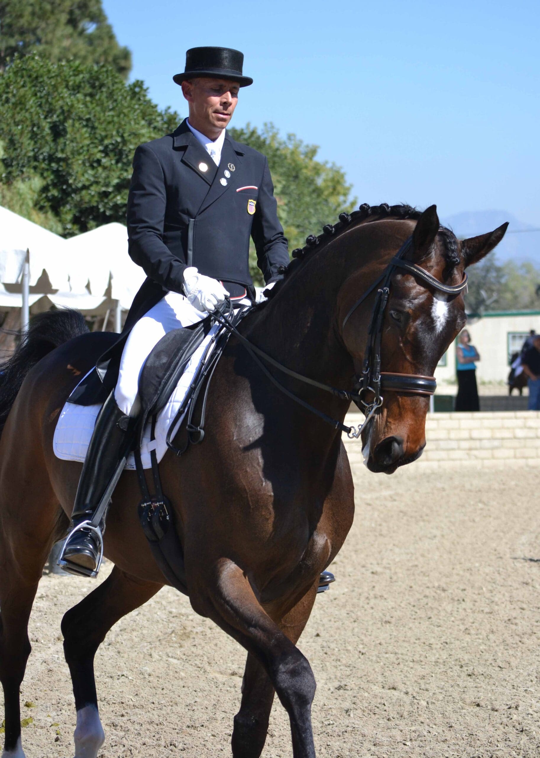 California World Cup Dressage and London Olympic Qualifiers Underway at ...