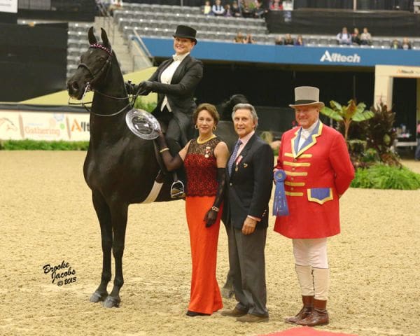 American Saddlebred Division at Alltech National Horse Show Highlights ...
