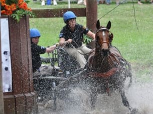 Champion Driver Suzy Stafford Long-Listed For 2011 FEI World Pony ...