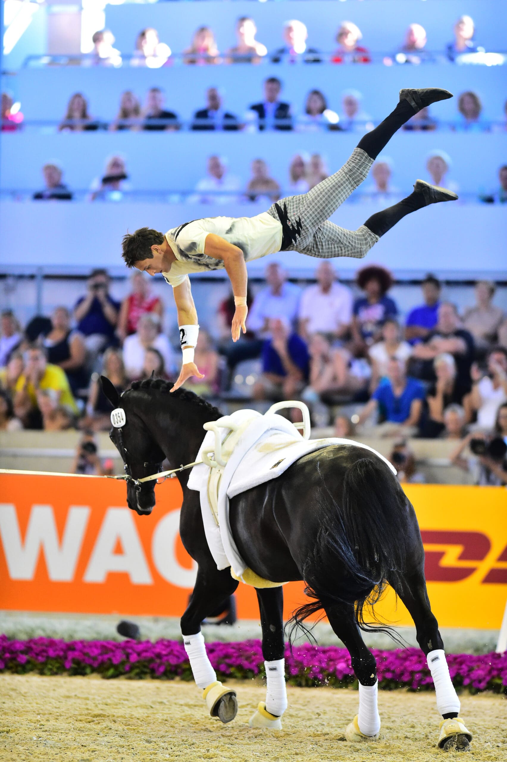 German Clean Sweep in Male Individual Final, Austrians Dominate in Pas ...
