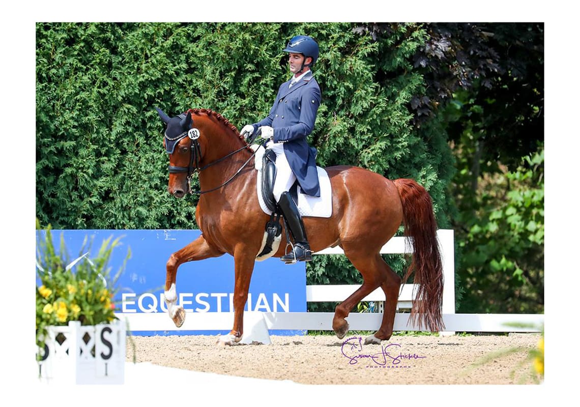 Nick Wagman Continues Grand Prix Wins with the Markel/USEF Developing ...