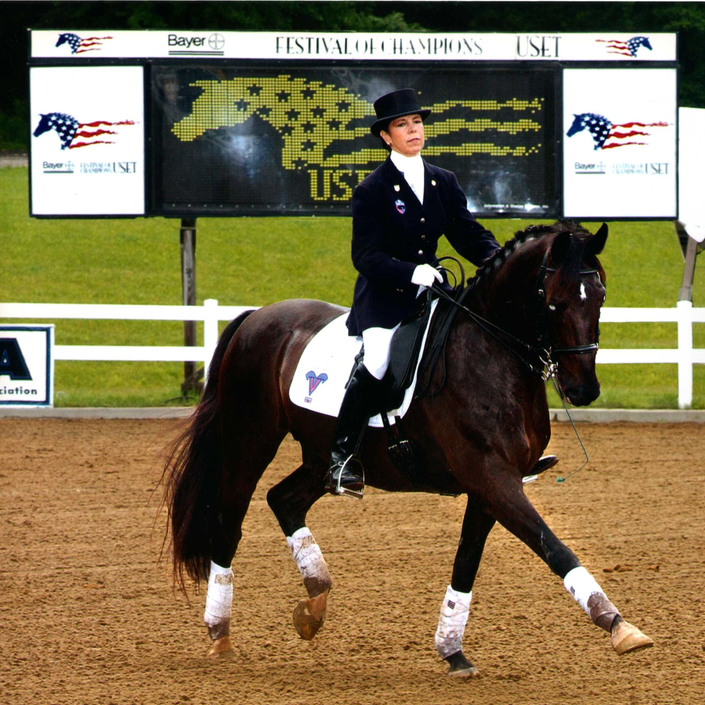Prayers Needed For Valiant - HorsesDaily
