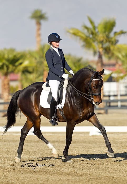 The Dressage Getaway , Thermal - The Small But Mighty Show - HorsesDaily