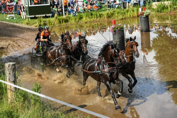 Marathon Specialists Dominate in the FEI Driving European Championship ...