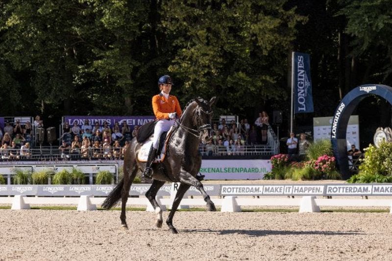 75th CHIO Rotterdam Announces Ticket Sales To Begin - HorsesDaily