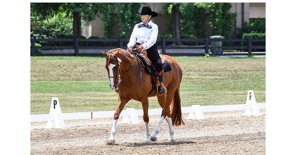Western Dressage World Championship Show - What You Need to Know ...
