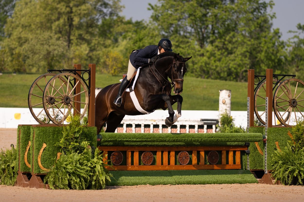 Nick Haness' Victory Ride With A New Horse - Styled, Delivers A Top ...