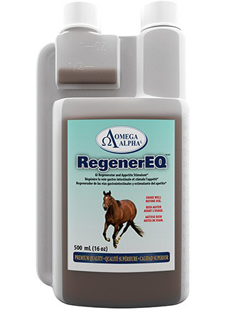 Improve Your Horse’s Appetite and Gut Health with RegenerEQ™ - HorsesDaily