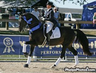 2007 Markel/USEF National Young Horse Dressage Championships - HorsesDaily