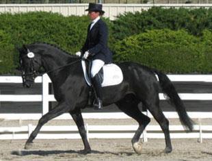 2 White Feet, Inc. presents Steffen Peters and Janet Foy -"Dressage ...