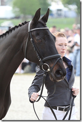 Land Rover U.S. Eventing Team Ready for CCI4* Challenge at the 2011 ...