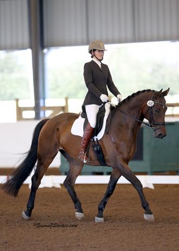 Region 9 Dressage Championships and Southwest Dressage Championships a ...