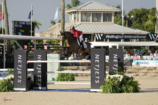 Canada Nabs CSIO4* Nations Cup at Wellington International - HorsesDaily